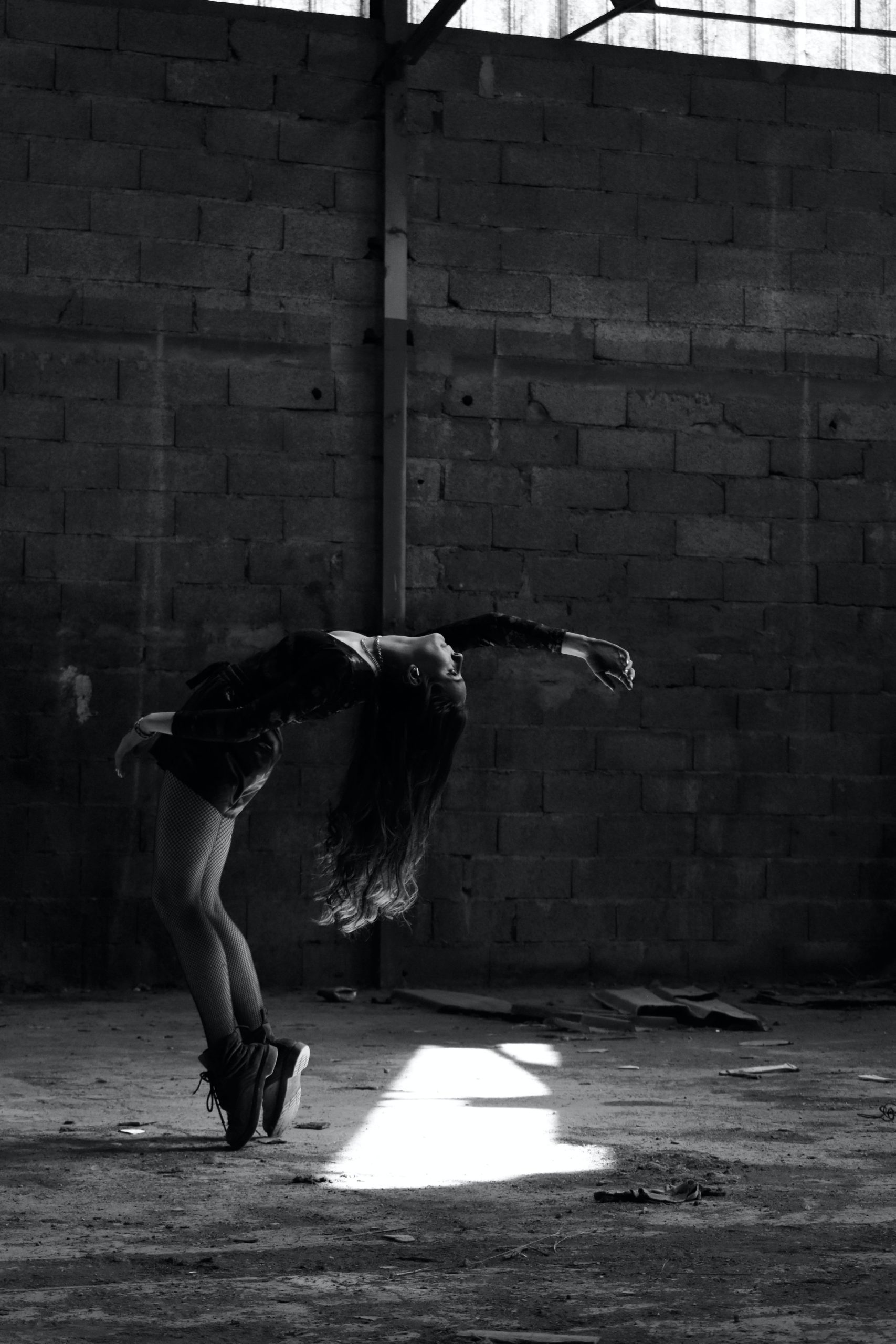 Elements of Dance - Curious Little Bunny